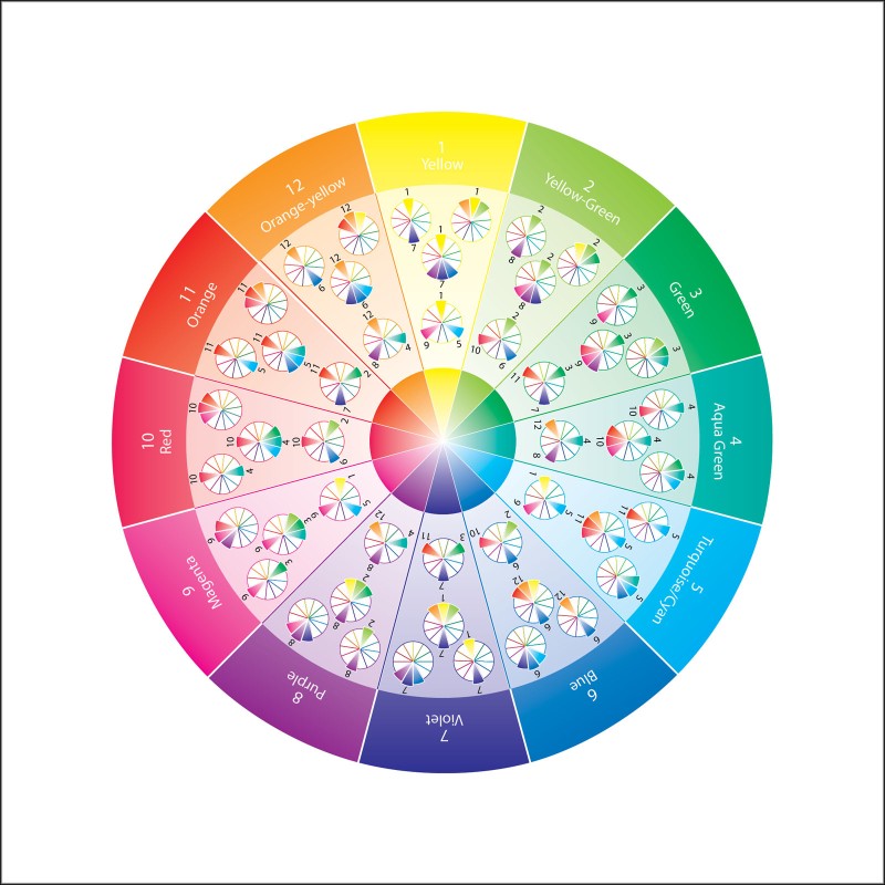 Take Along Mini Color Wheel | EE Schenck Company