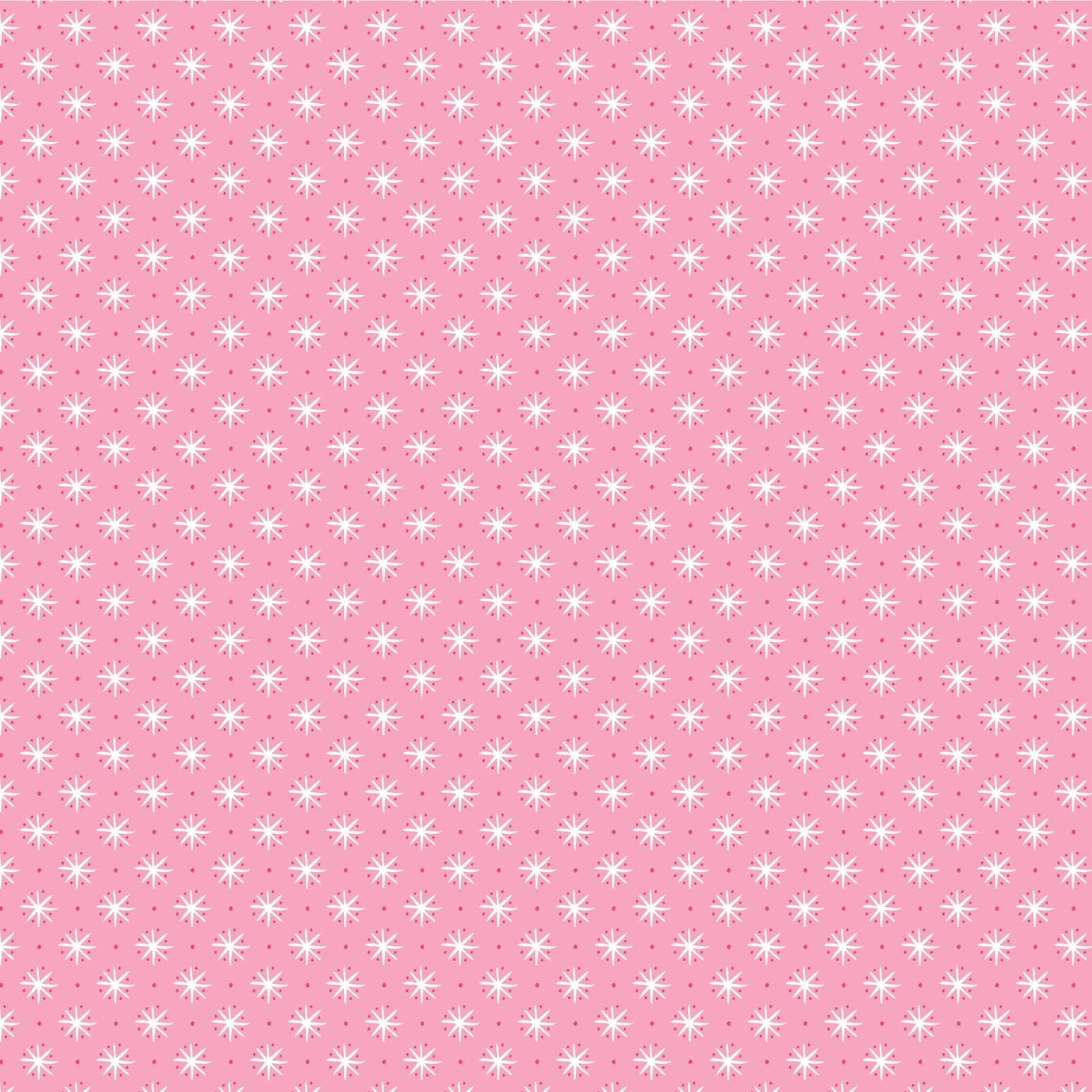 Finding Wonder | EE Schenck Company