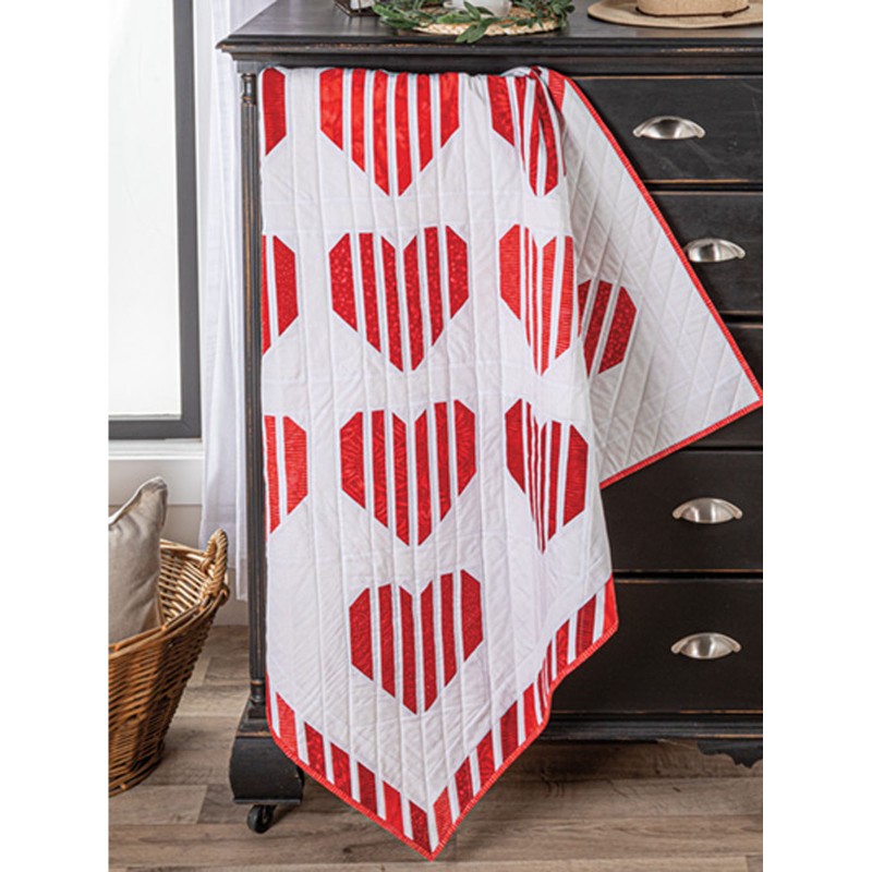 One Day Quilts Pattern Book | EE Schenck Company