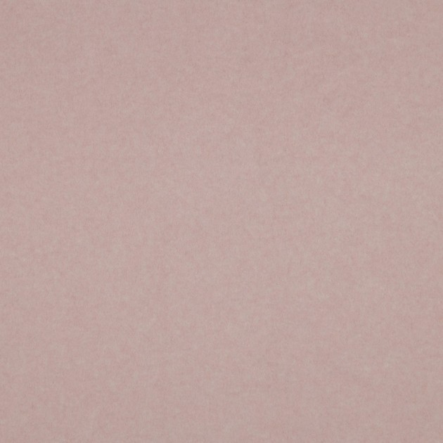 Fleece GOTS | EE Schenck Company