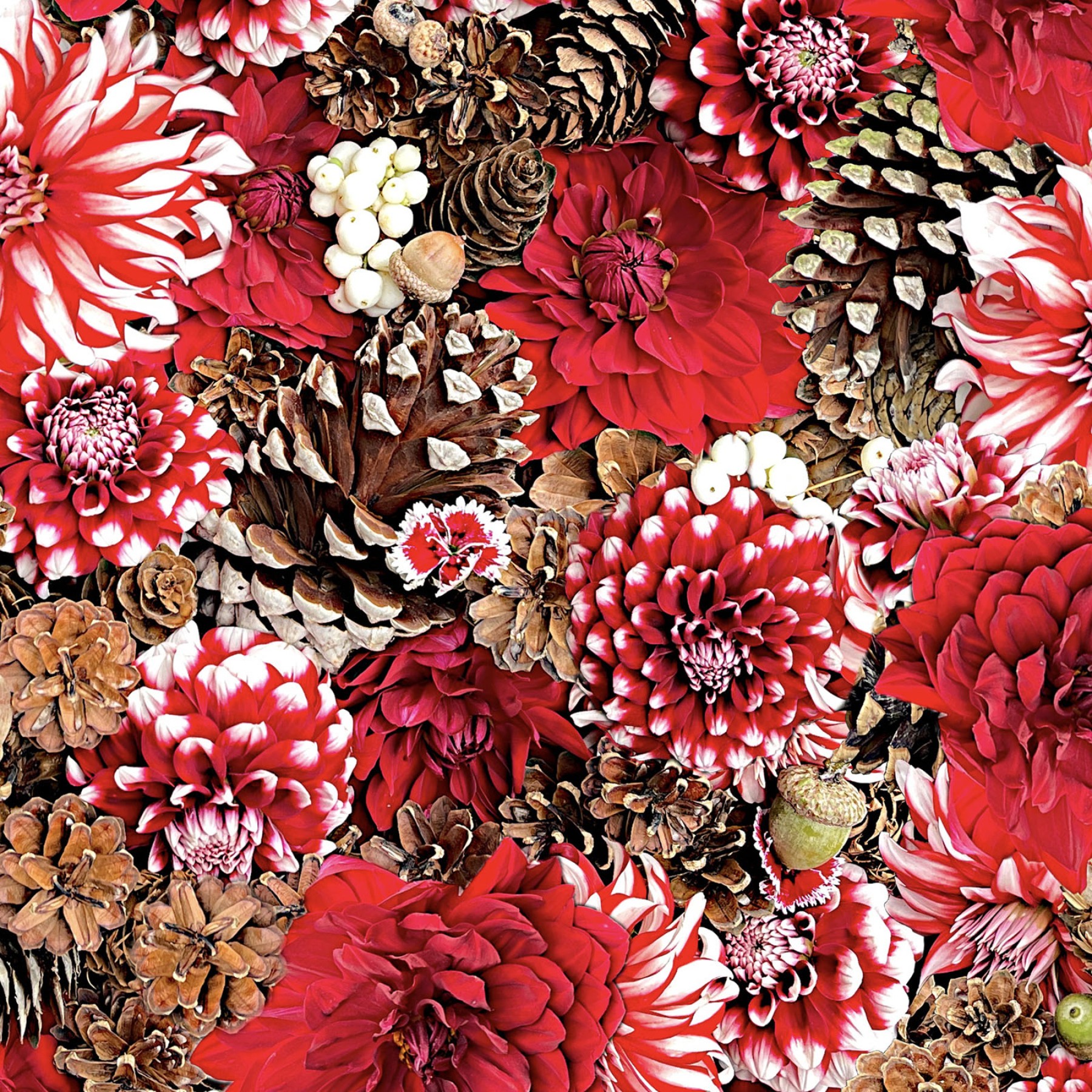 Hand Picked: Christmas | EE Schenck Company