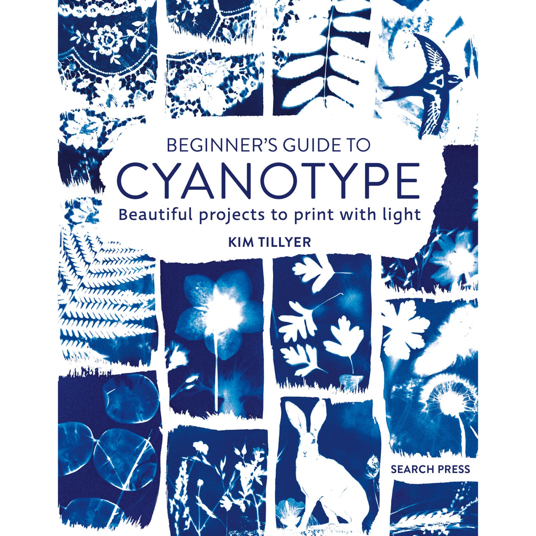Beginner’s Guide to Cyanotype | EE Schenck Company