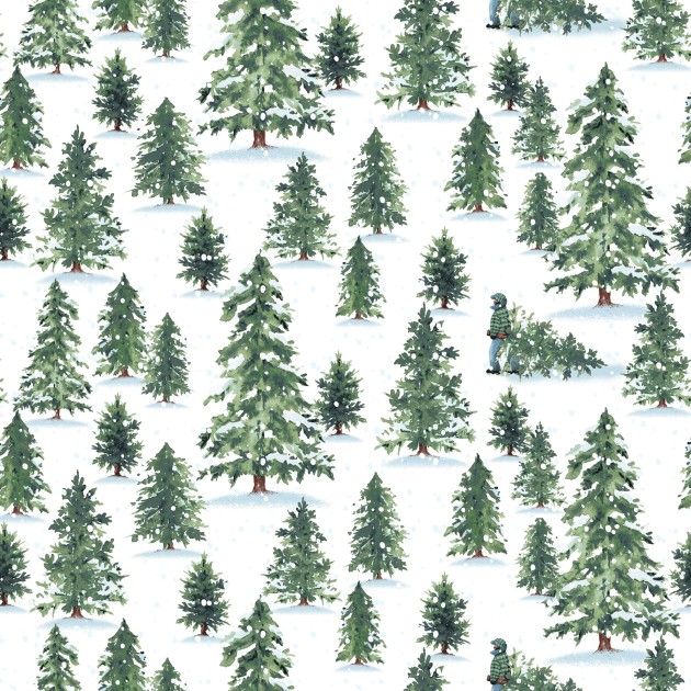 Christmas Village | EE Schenck Company