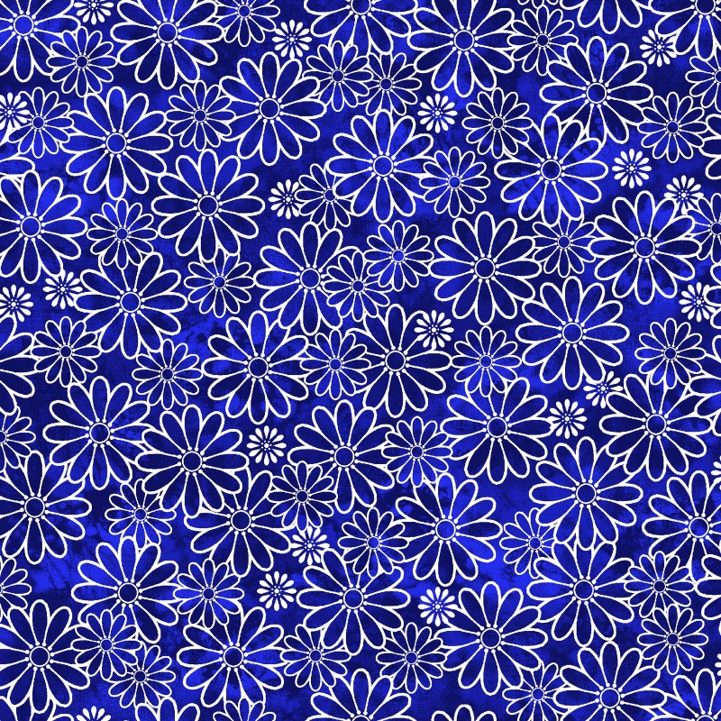 Daisy Delight IV | EE Schenck Company