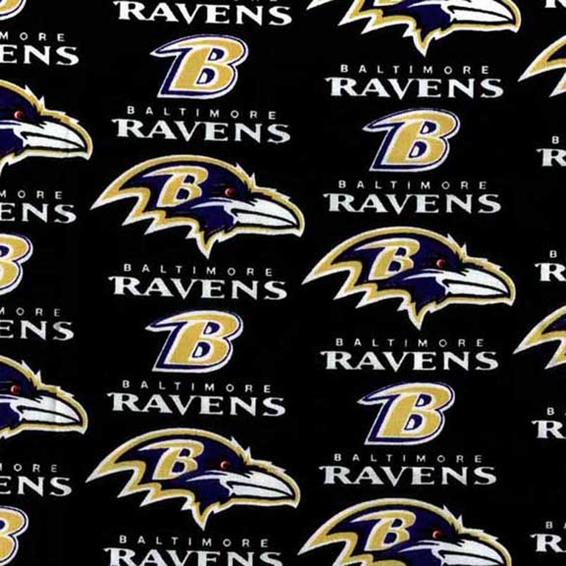 baltimore ravens coloring book